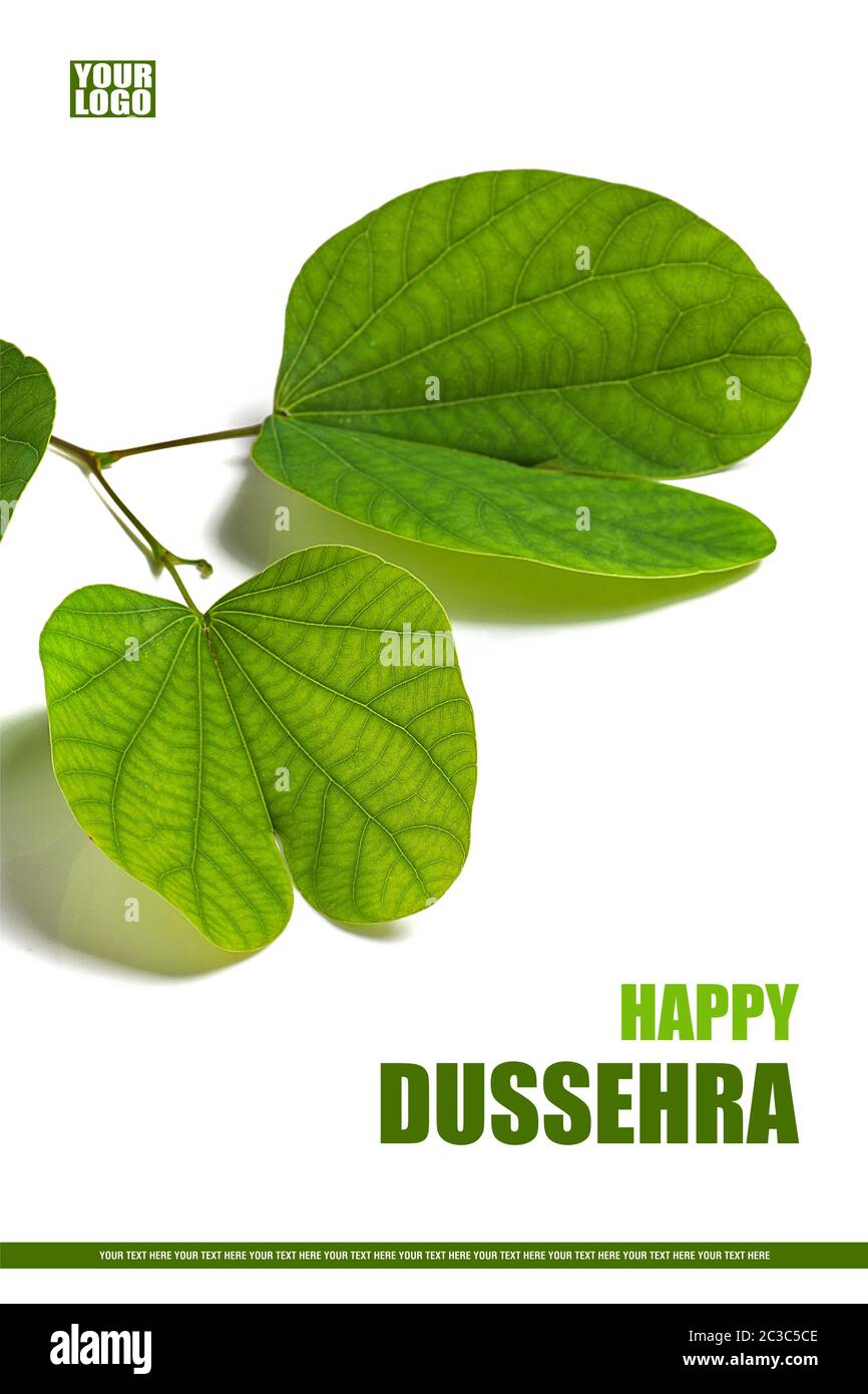 Greeting card design of Indian Festival Dussehra, showing golden leaf ...