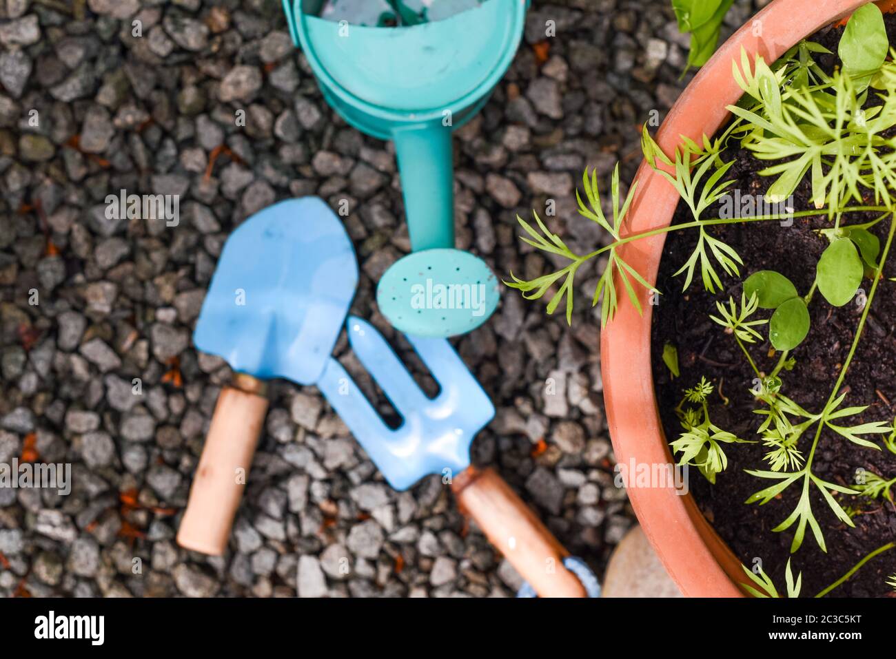 Gardening tools for kids to learn about planting and gardening Stock ...