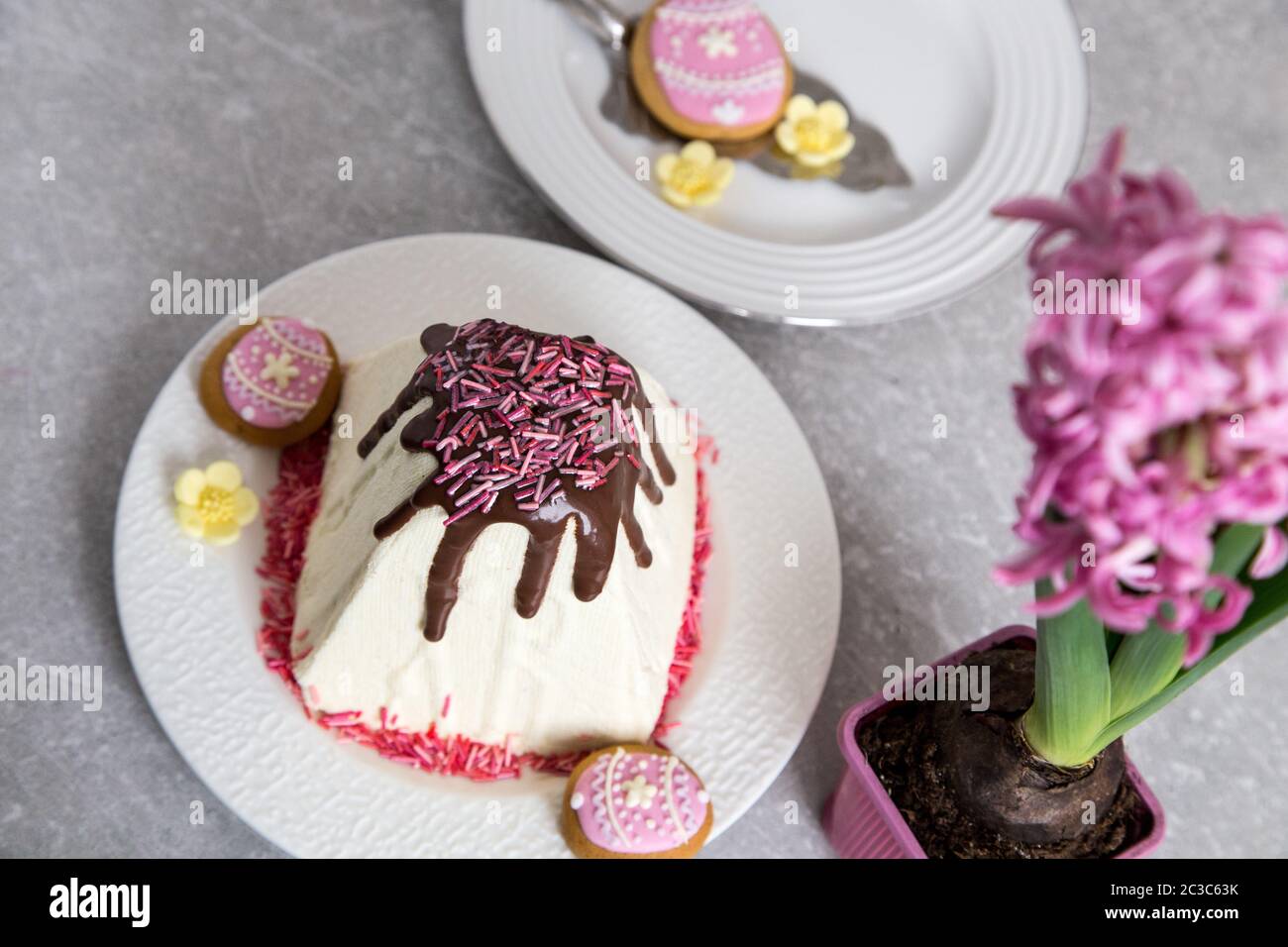 Easter food background. Traditional curd Easter cake with spring ...