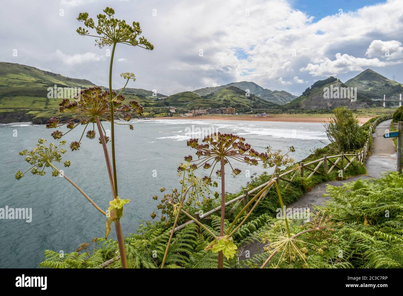 Panoramic view of La Arena beach Stock Photo - Alamy