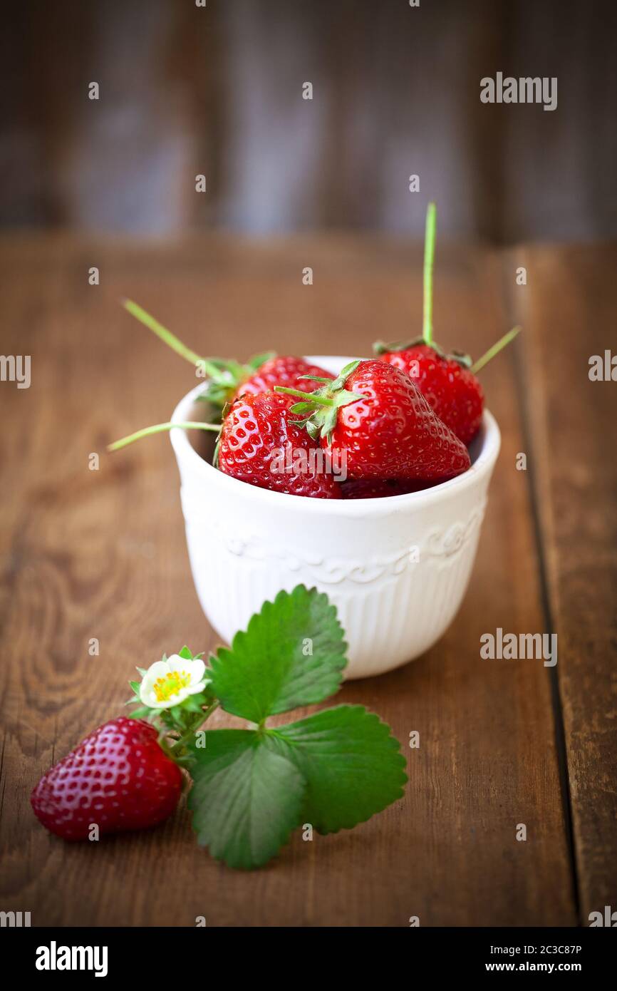 Strawberry leave hi-res stock photography and images - Alamy