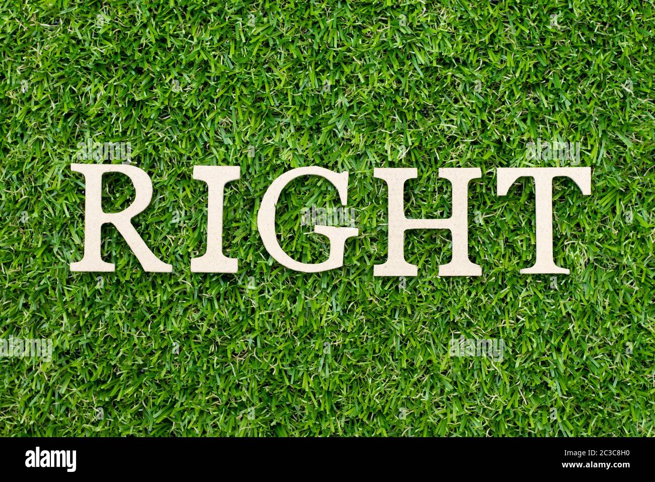 Wood alphabet letter in word right on green grass background Stock ...