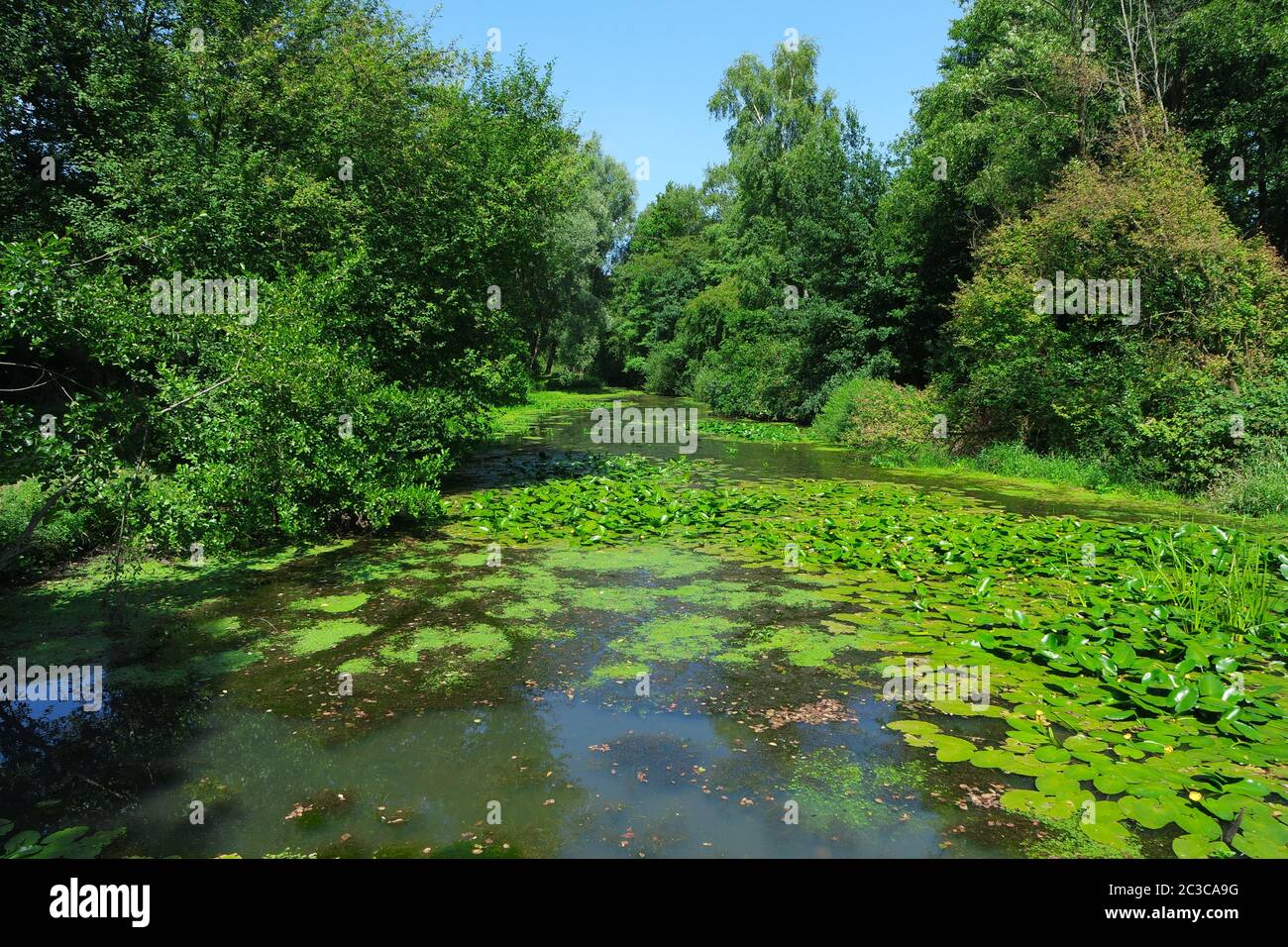 Winsen in the luhe hi-res stock photography and images - Alamy