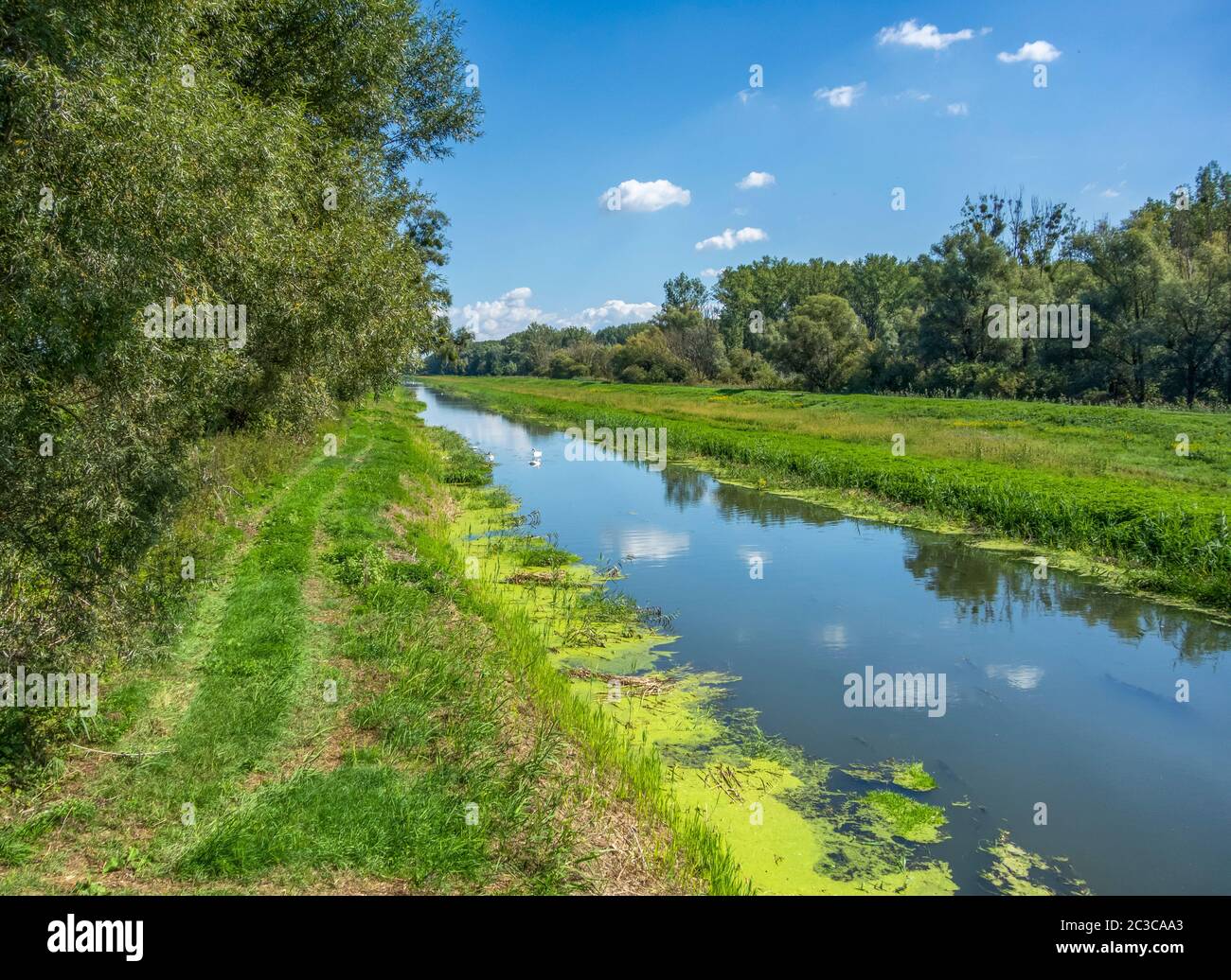scenery at the Einserkanal near the famous Bridge at Andau at the ...