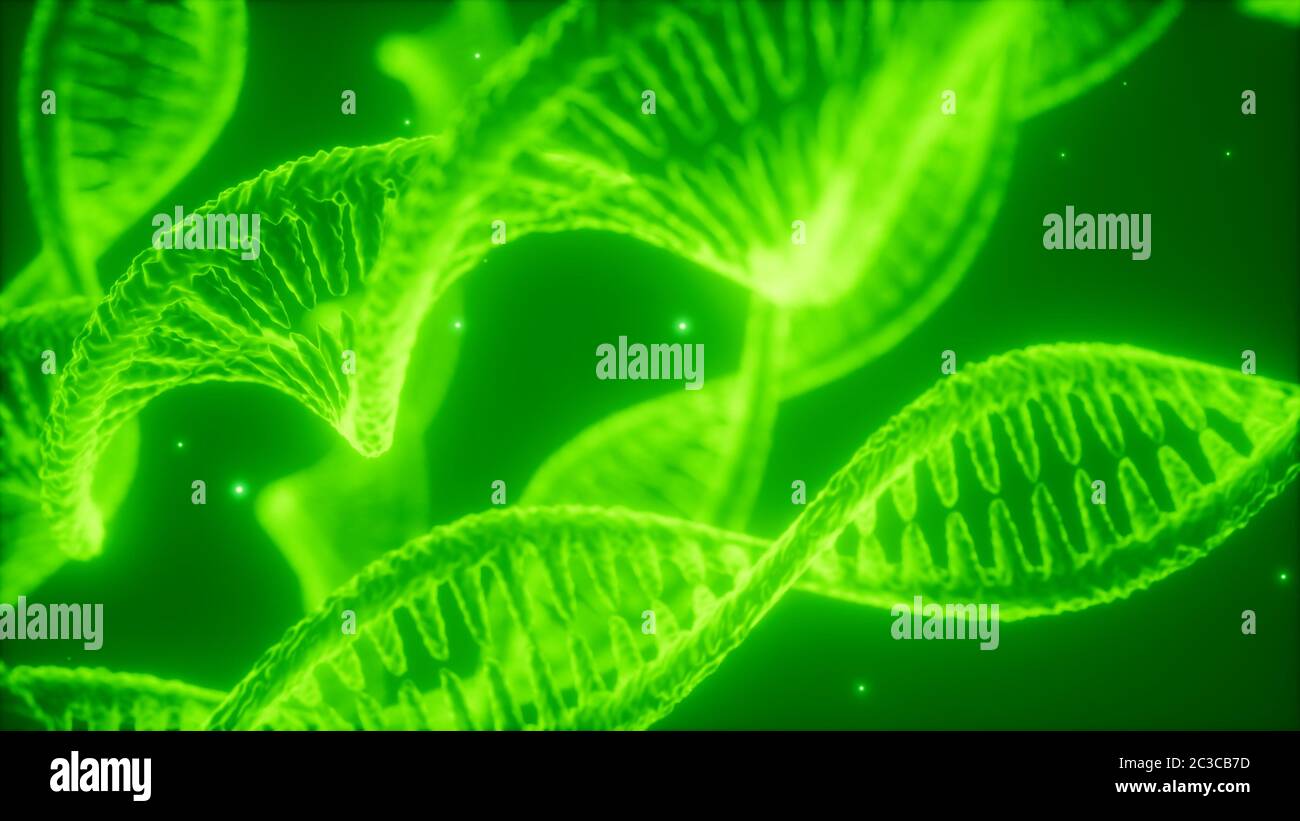 structure of the DNA double helix animation Stock Photo - Alamy