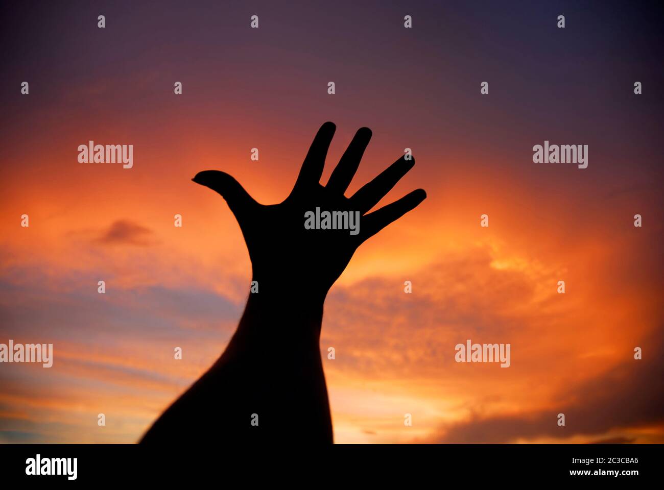 open human hand in the sunset colors Stock Photo - Alamy