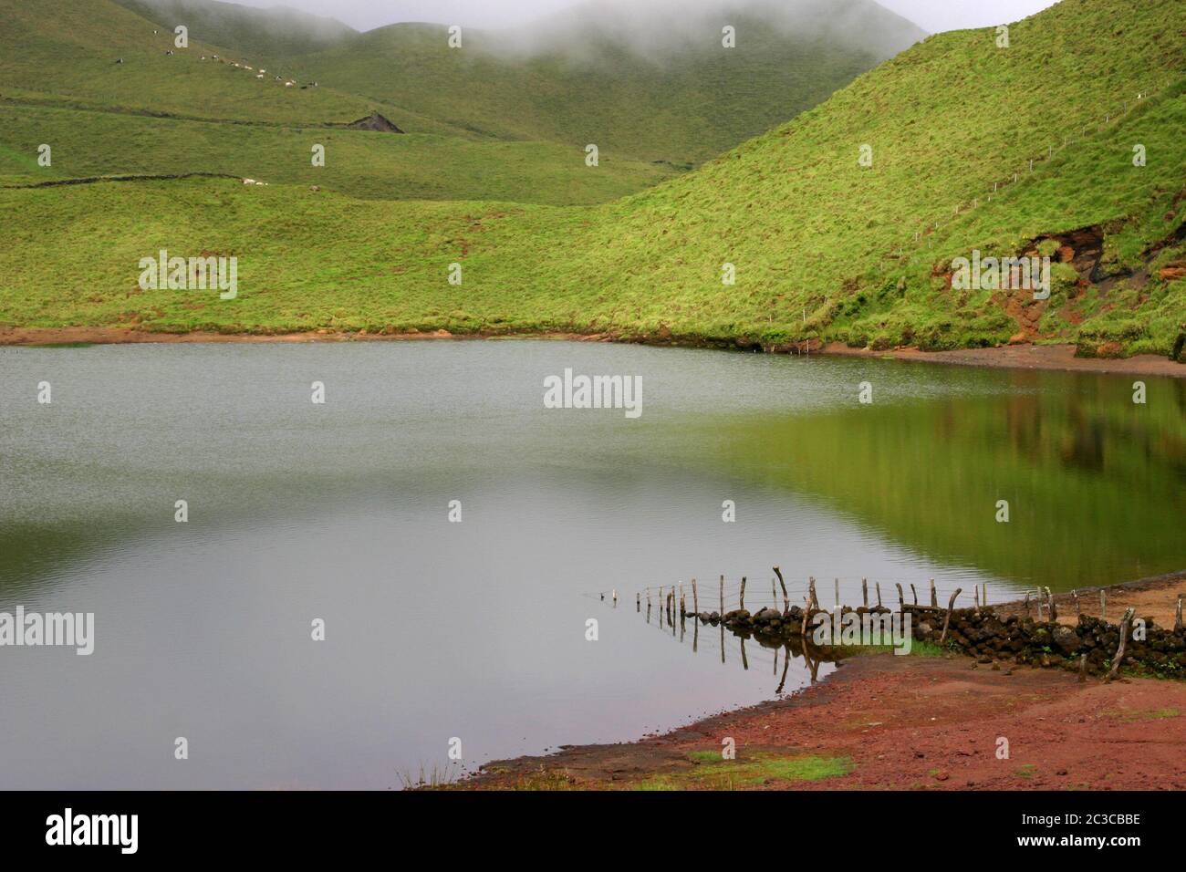azores lake detail Stock Photo - Alamy