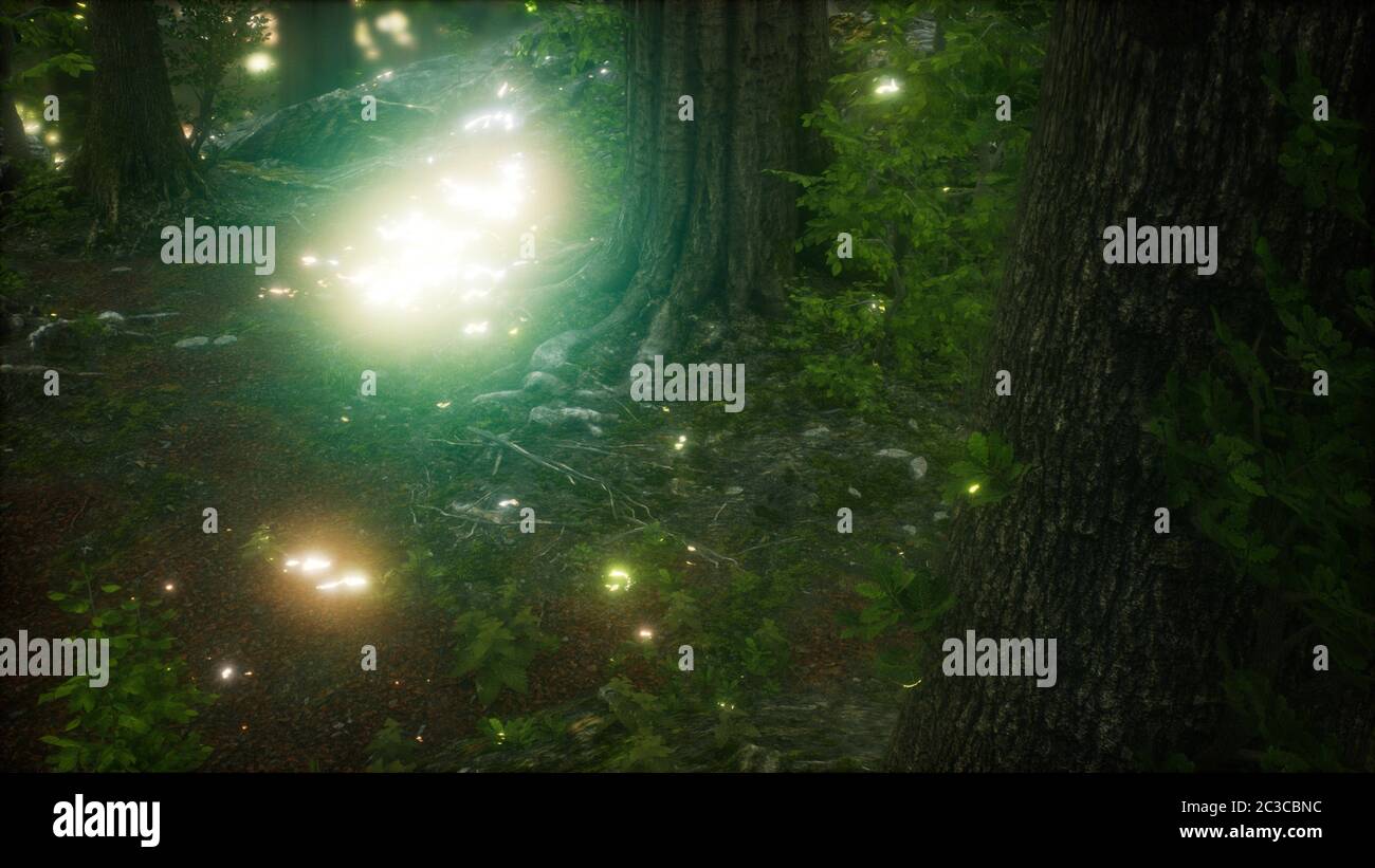 Firefly night grass hi-res stock photography and images - Alamy