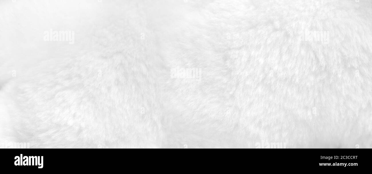 Clean white fur background close up view. Banner Stock Photo - Alamy