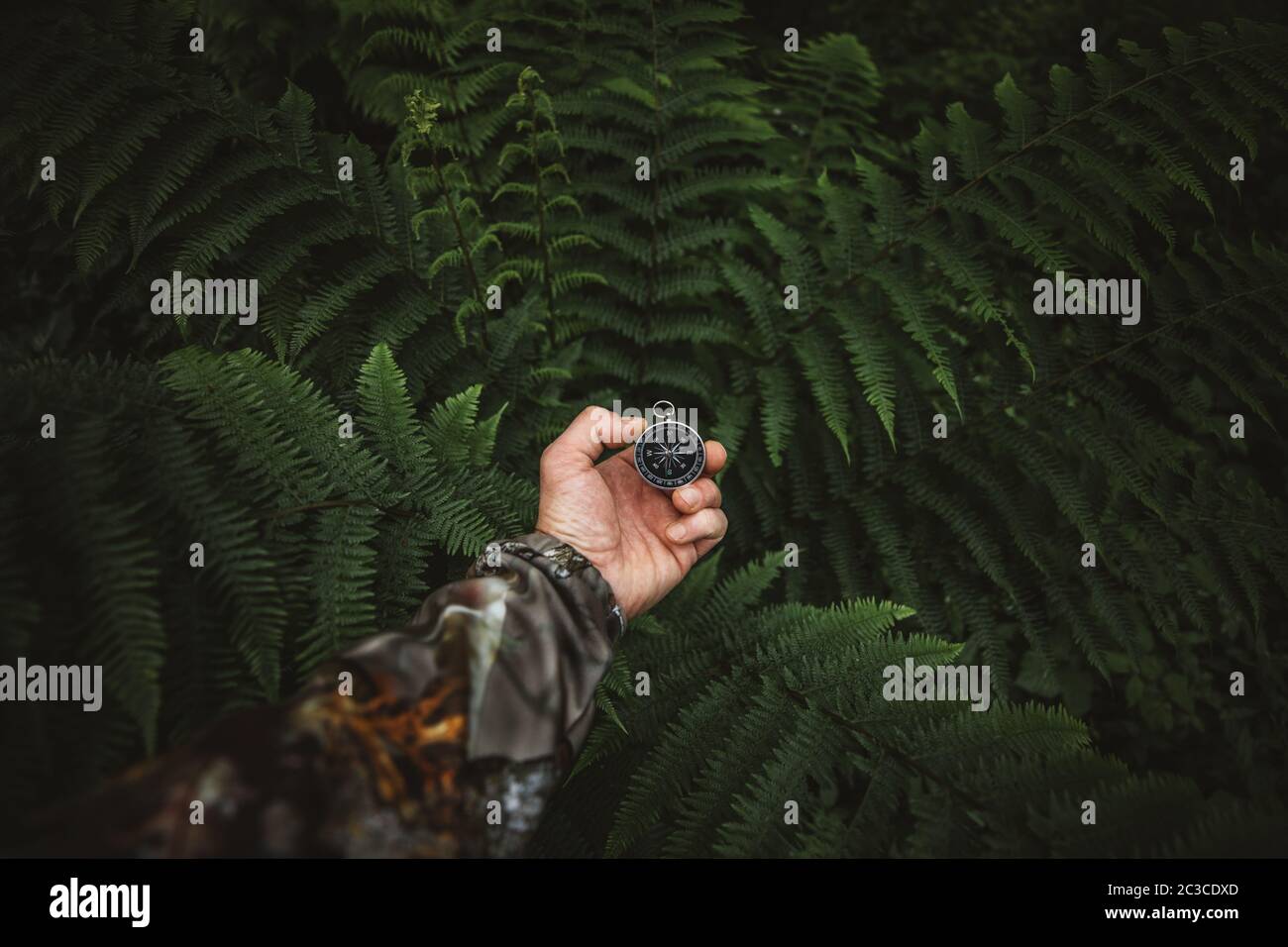 Surviving forest compass hi-res stock photography and images - Alamy