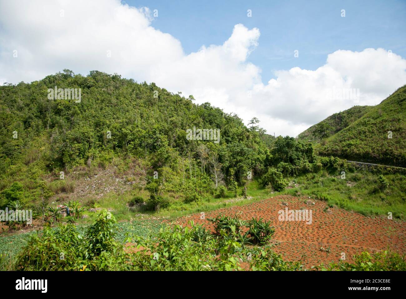 The aerial view of village's agricultural field in Jamaica's ...