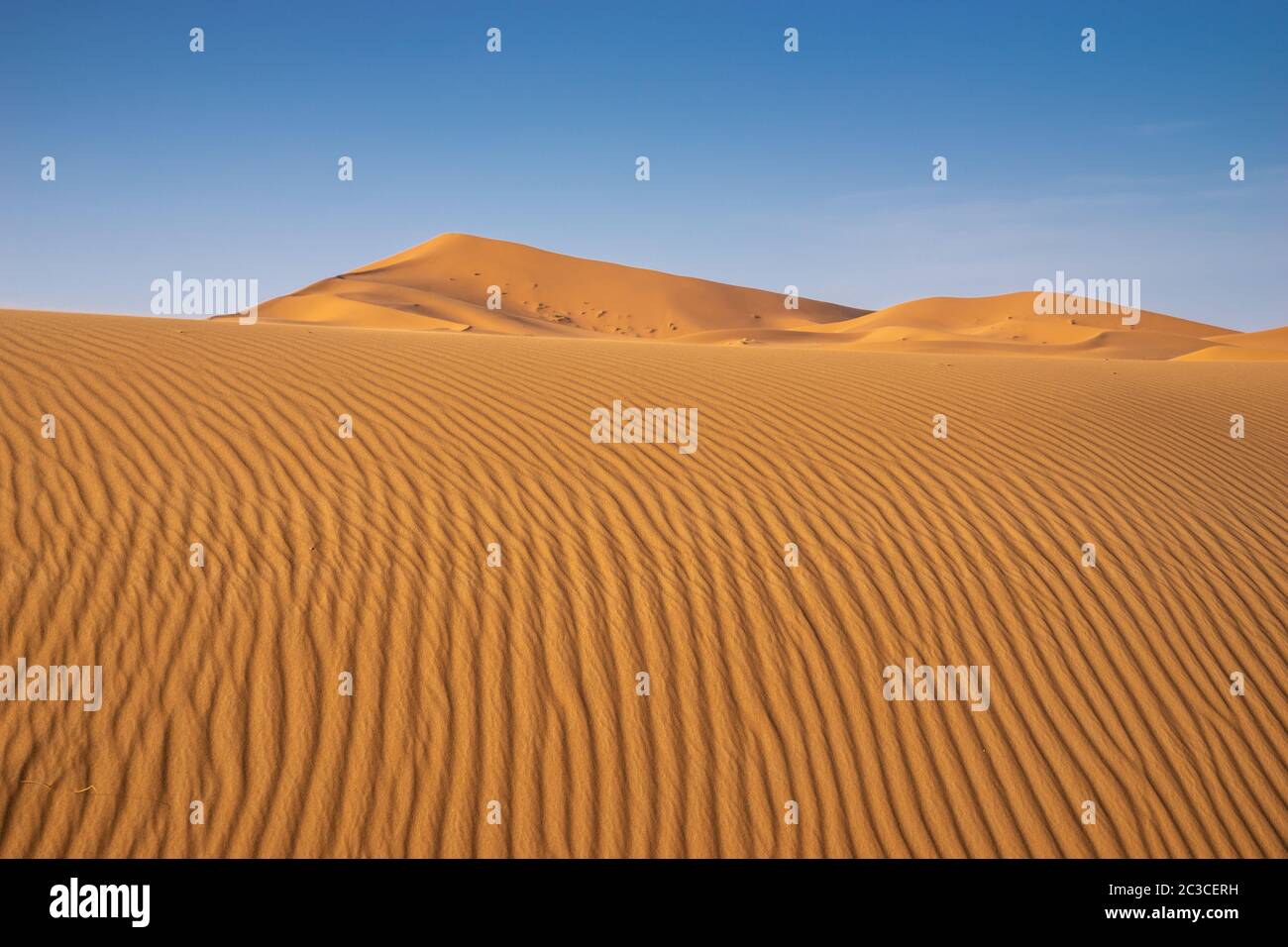 Sahara Desert in east Morocco Stock Photo - Alamy