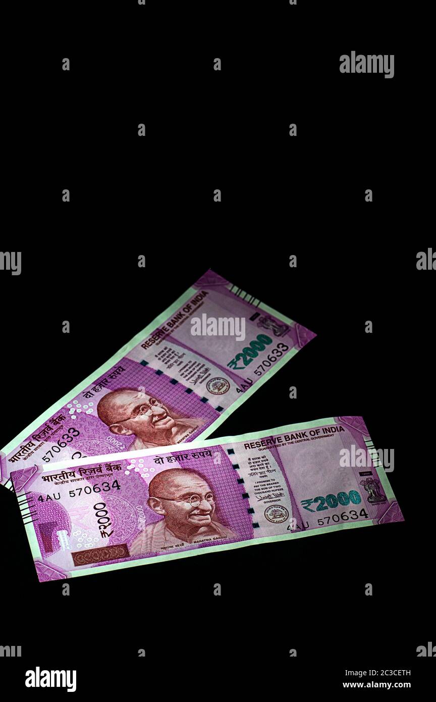 Indian Money Tree Wallpaper