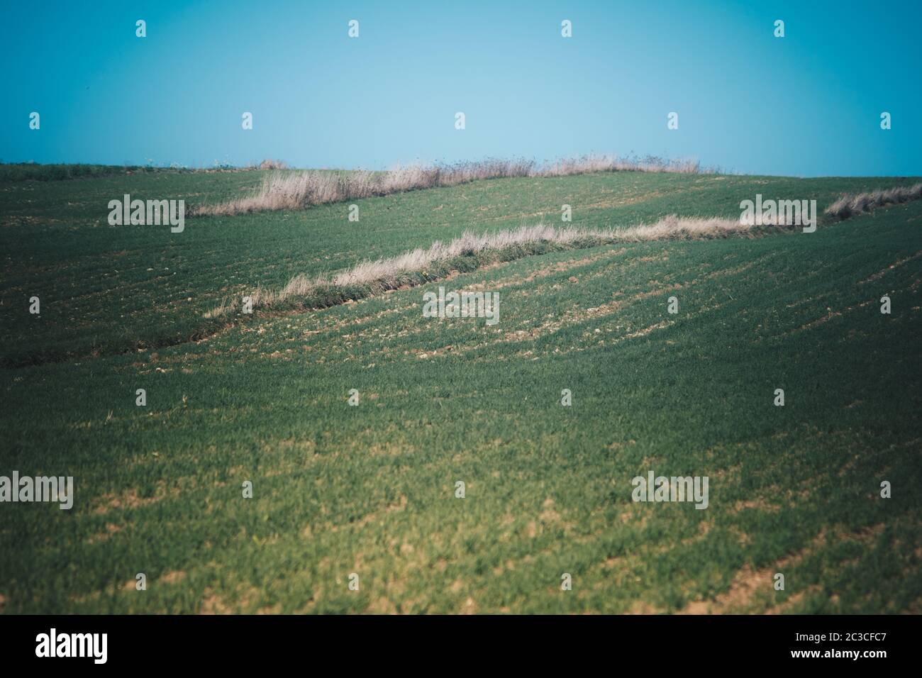 rural landscape with empty fields at the end of the summer season Stock ...