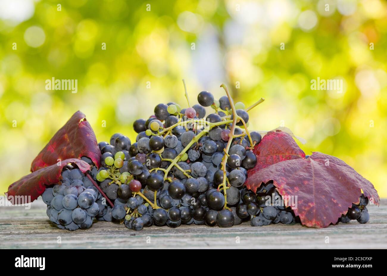 Grapes in wooden table outdoor in the garden Stock Photo - Alamy