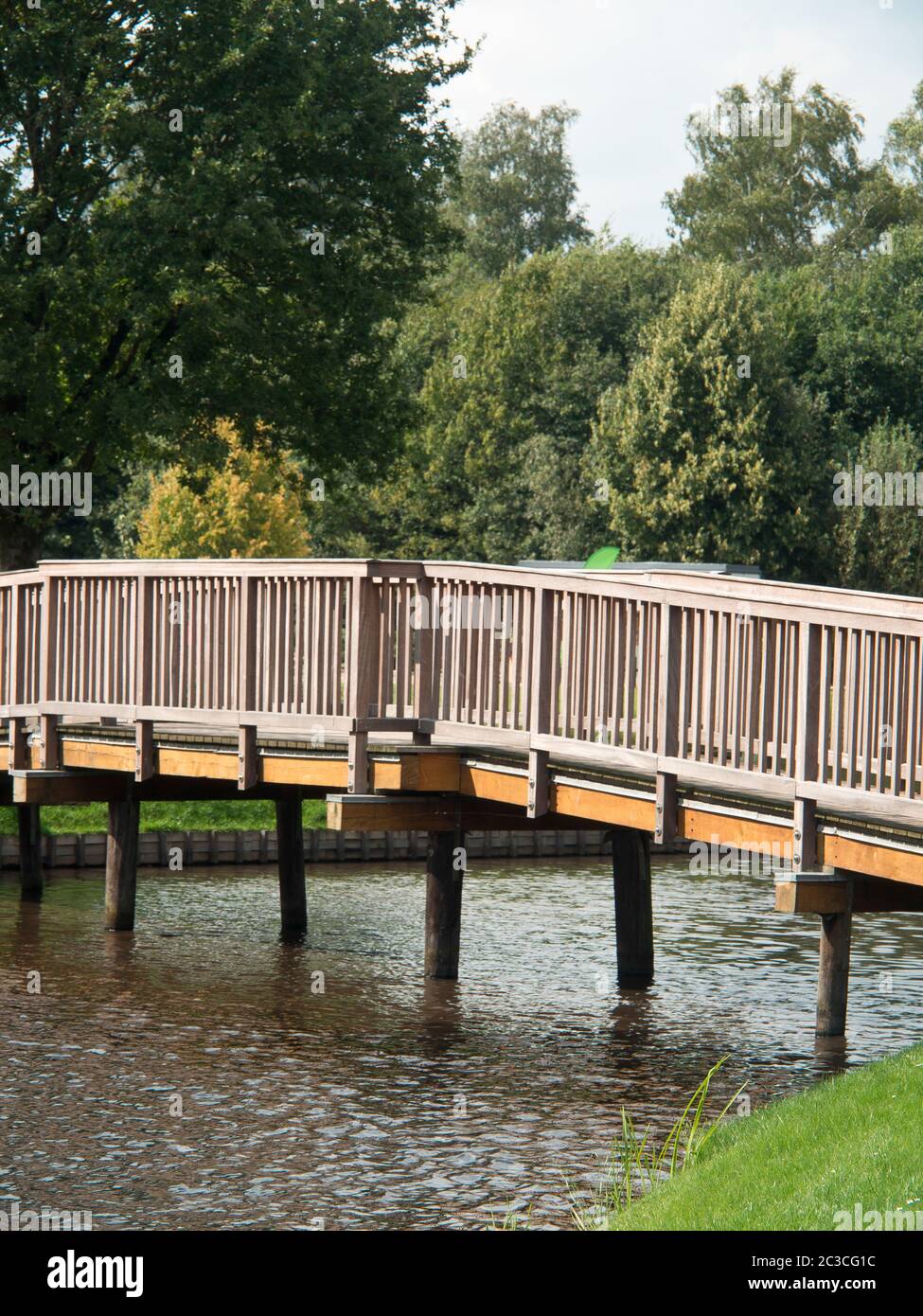 Smal tree hi-res stock photography and images - Alamy