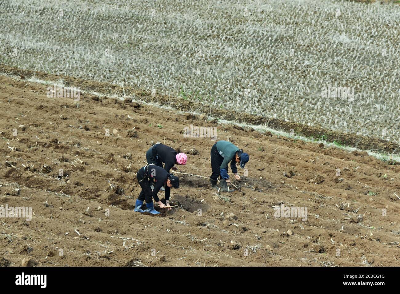 Peasant woman plowing hi-res stock photography and images - Alamy