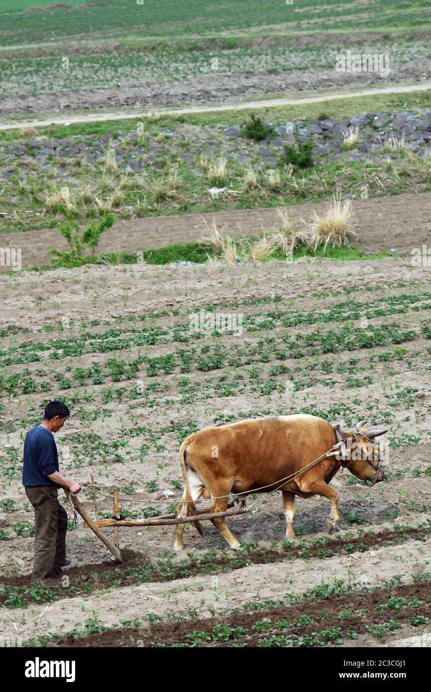 Wooden plow hi-res stock photography and images - Alamy