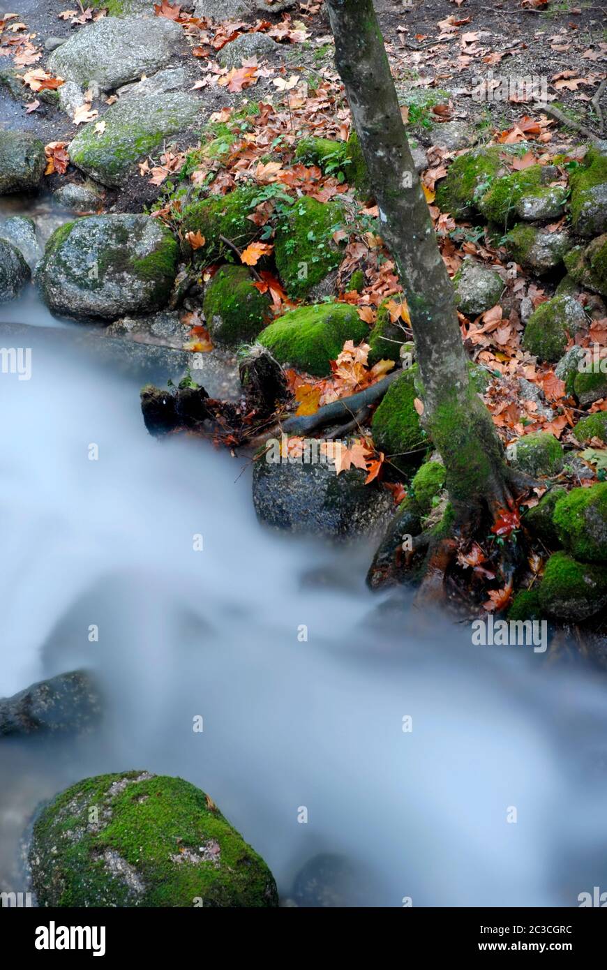 Small river waterfall in secluded hi-res stock photography and images ...
