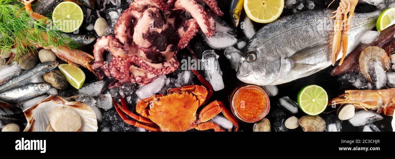Seafood panorama, shot from above. Fish and octopus, scallop, crab ...
