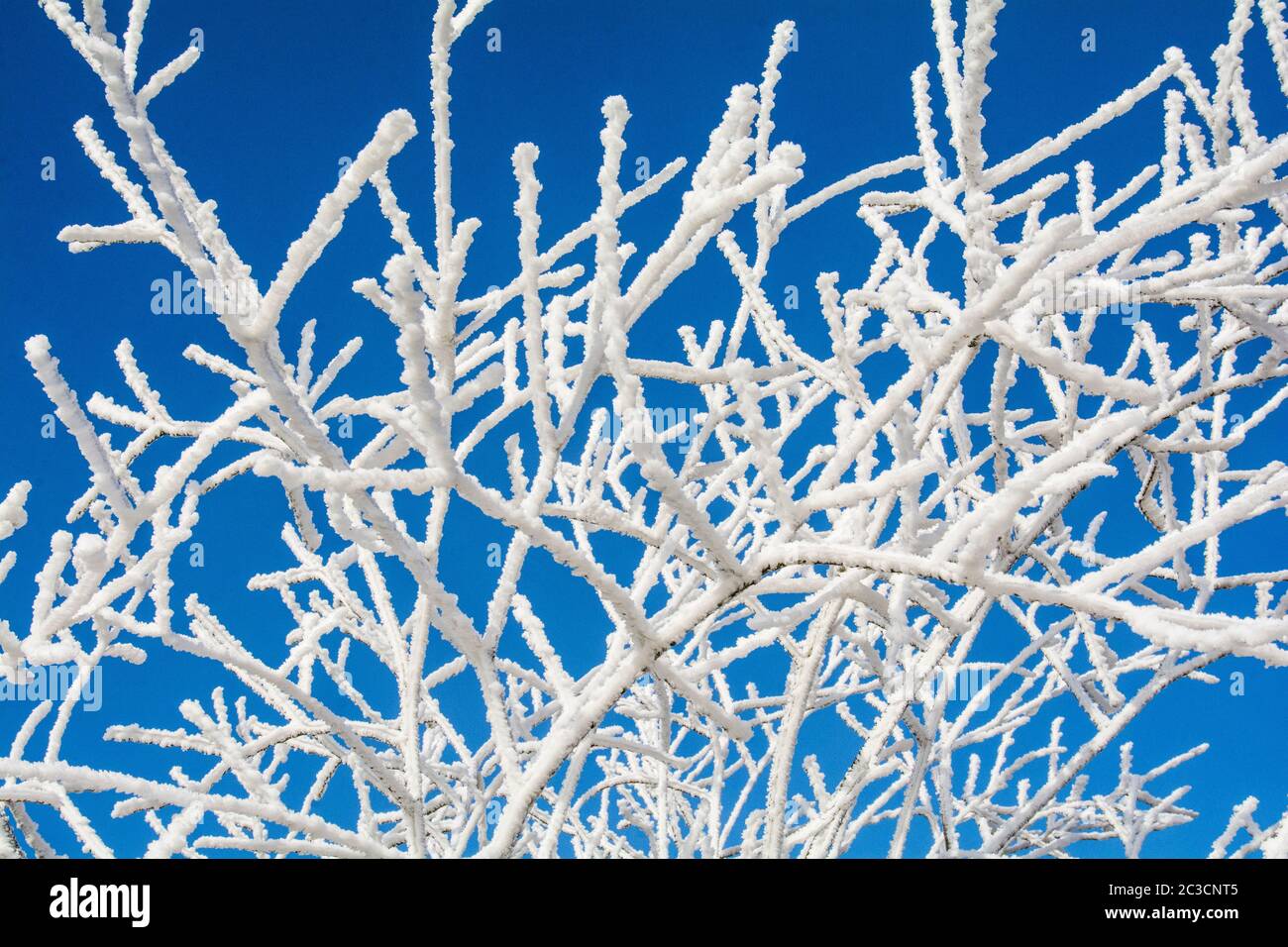 Cold winter in the Eifel in Germany Stock Photo - Alamy