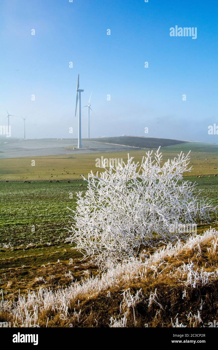 Cold winter in the Eifel in Germany Stock Photo - Alamy