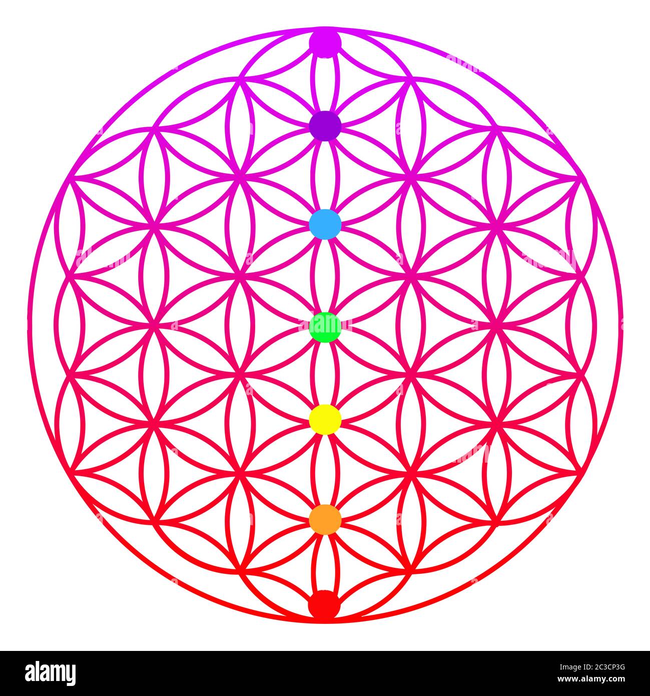 flower life circles sacred symmetry esoteric energy structure chakras ...