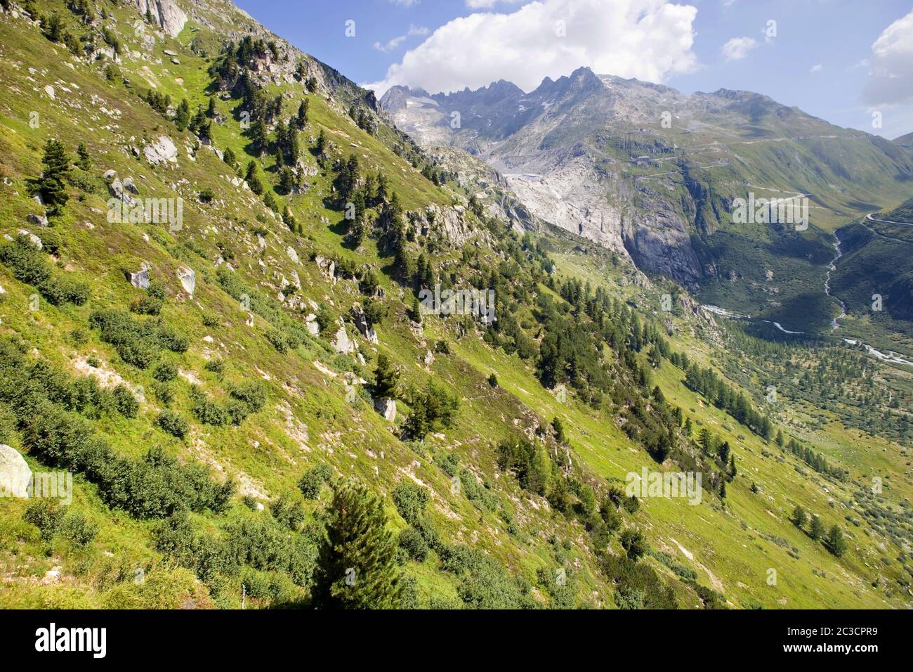 Landscape in the Swiss Alps Stock Photo - Alamy