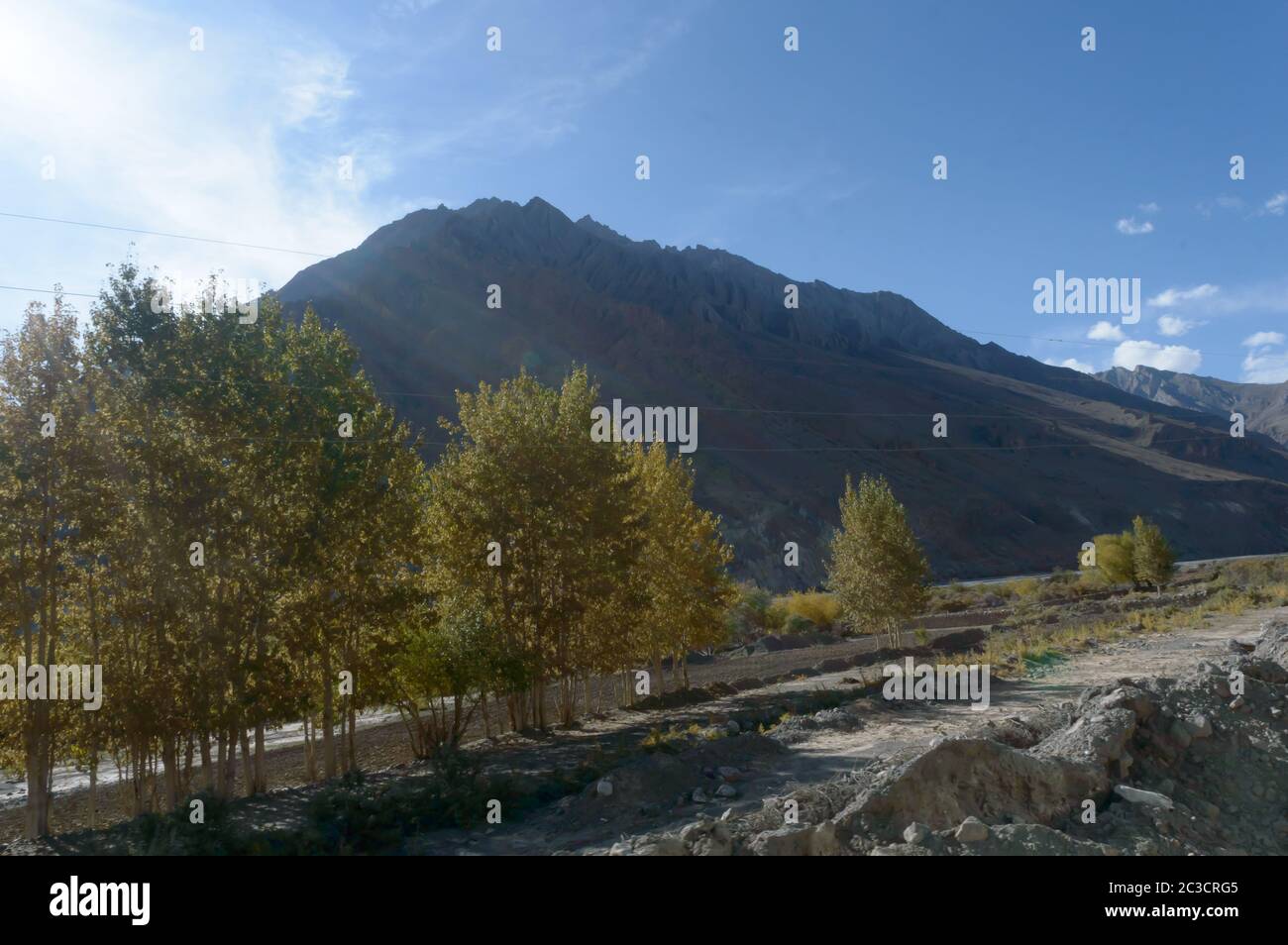 Aspen tree in fall and yellowstone river hi-res stock photography and ...