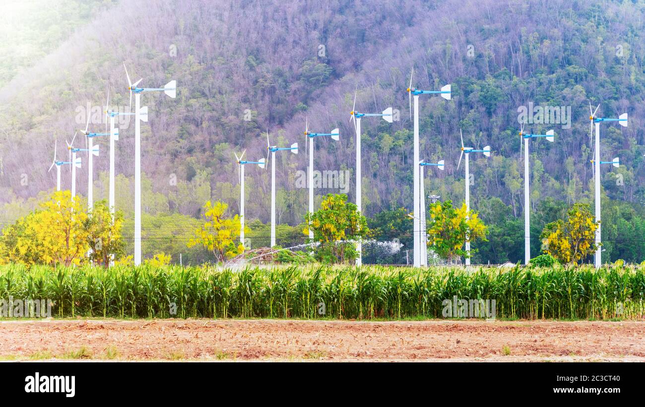 Group windmill in the field corn farm Stock Photo - Alamy