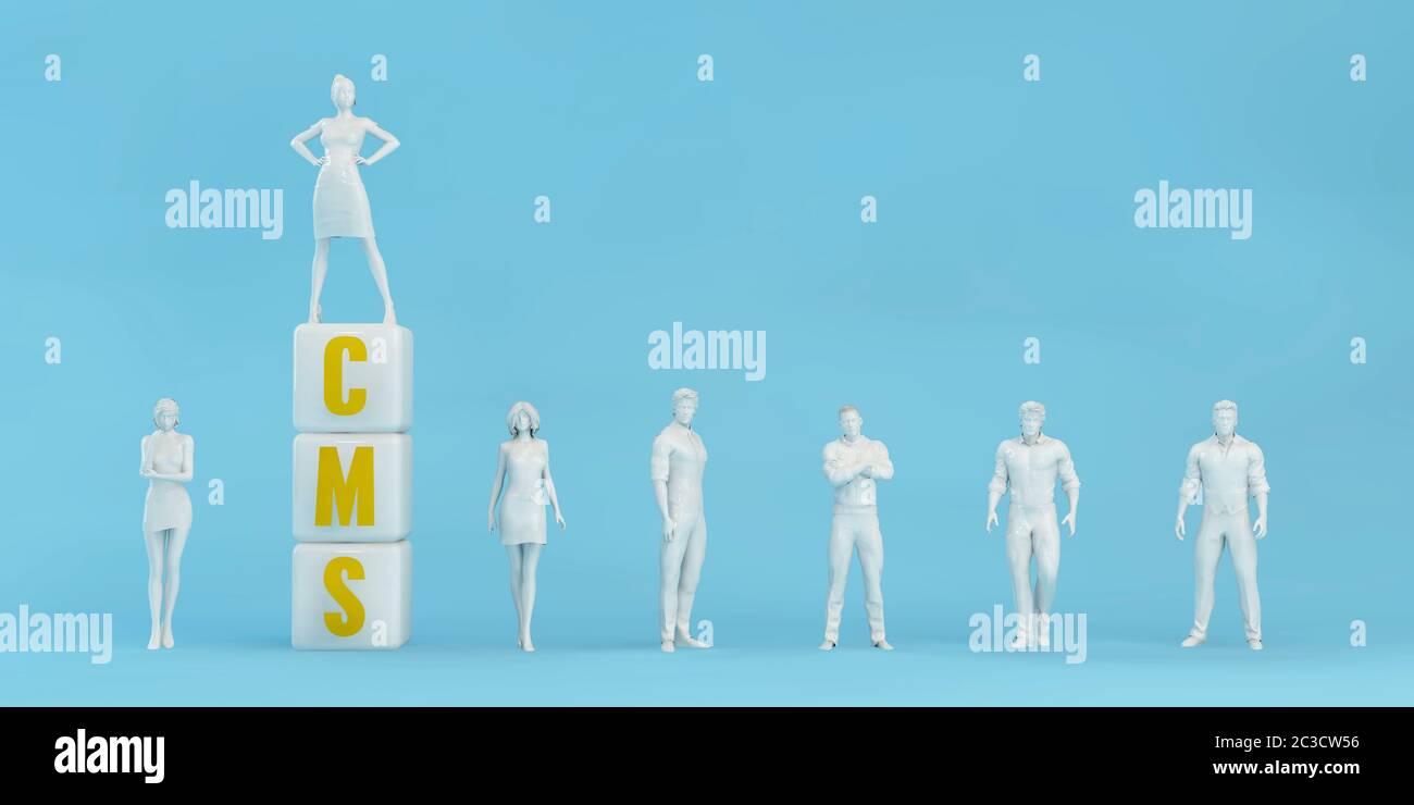 CMS Content Management System Successful Solutions and Services Stock ...