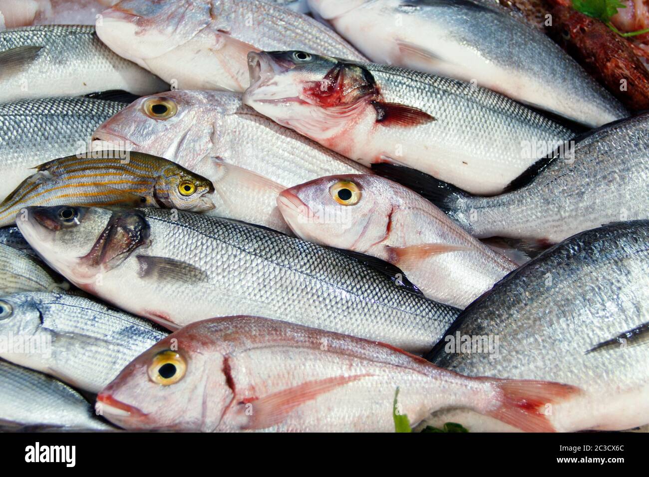 Mixed fish for sale on a local fish market Stock Photo - Alamy
