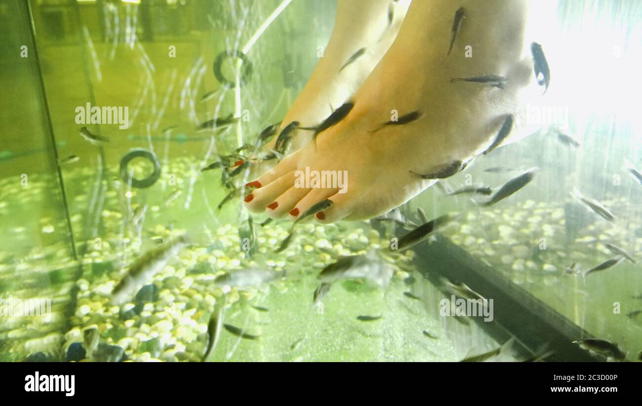 Peeling fish hi-res stock photography and images - Alamy