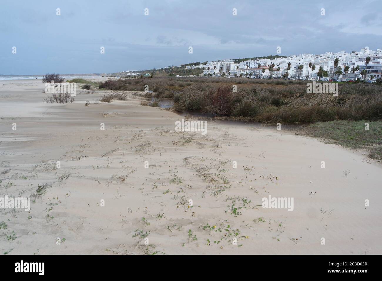 Conil beach hi-res stock photography and images - Alamy