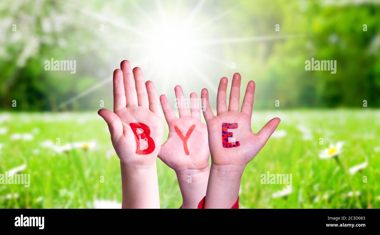 Children Hands Building Colorful Word Bye. Green Grass Meadow As ...