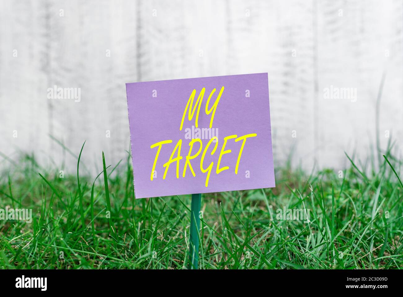 Writing note showing My Target. Business concept for aiming for the ...