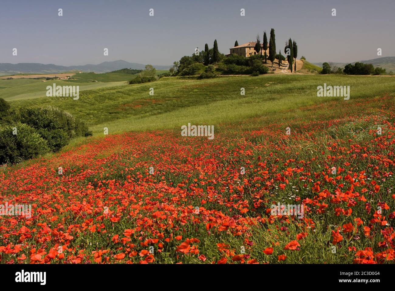 Poppy field tuscany italy hi-res stock photography and images - Alamy
