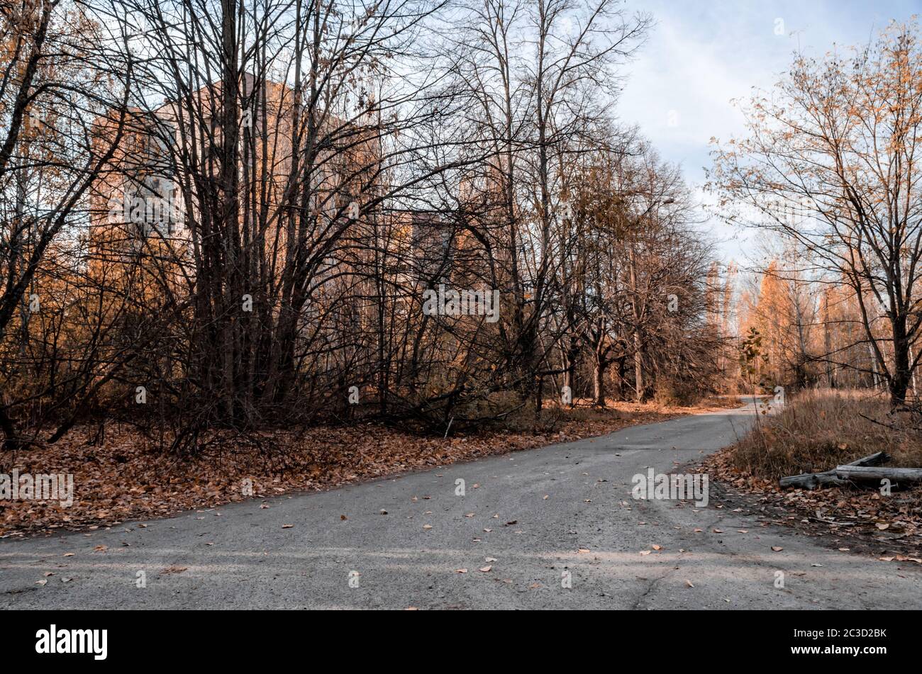 street and houses of the abandoned city of Chernobyl Stock Photo - Alamy