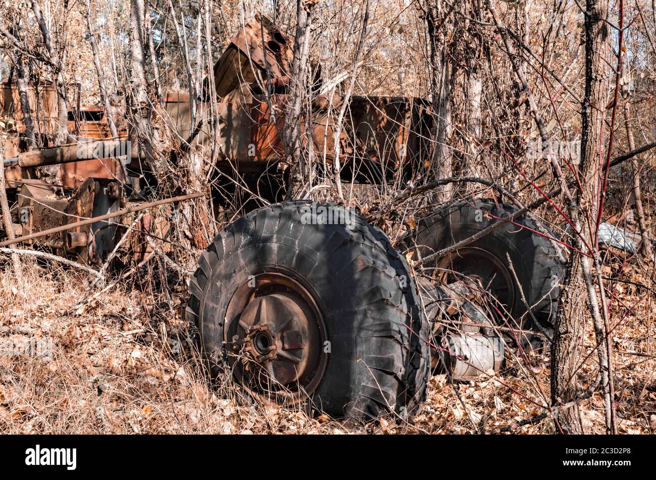 part of an old car in the forest in Chernobyl Stock Photo - Alamy