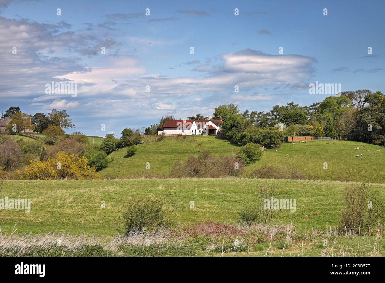 A Rural Landscape in Shropshire, England with rolling hills and grazing ...