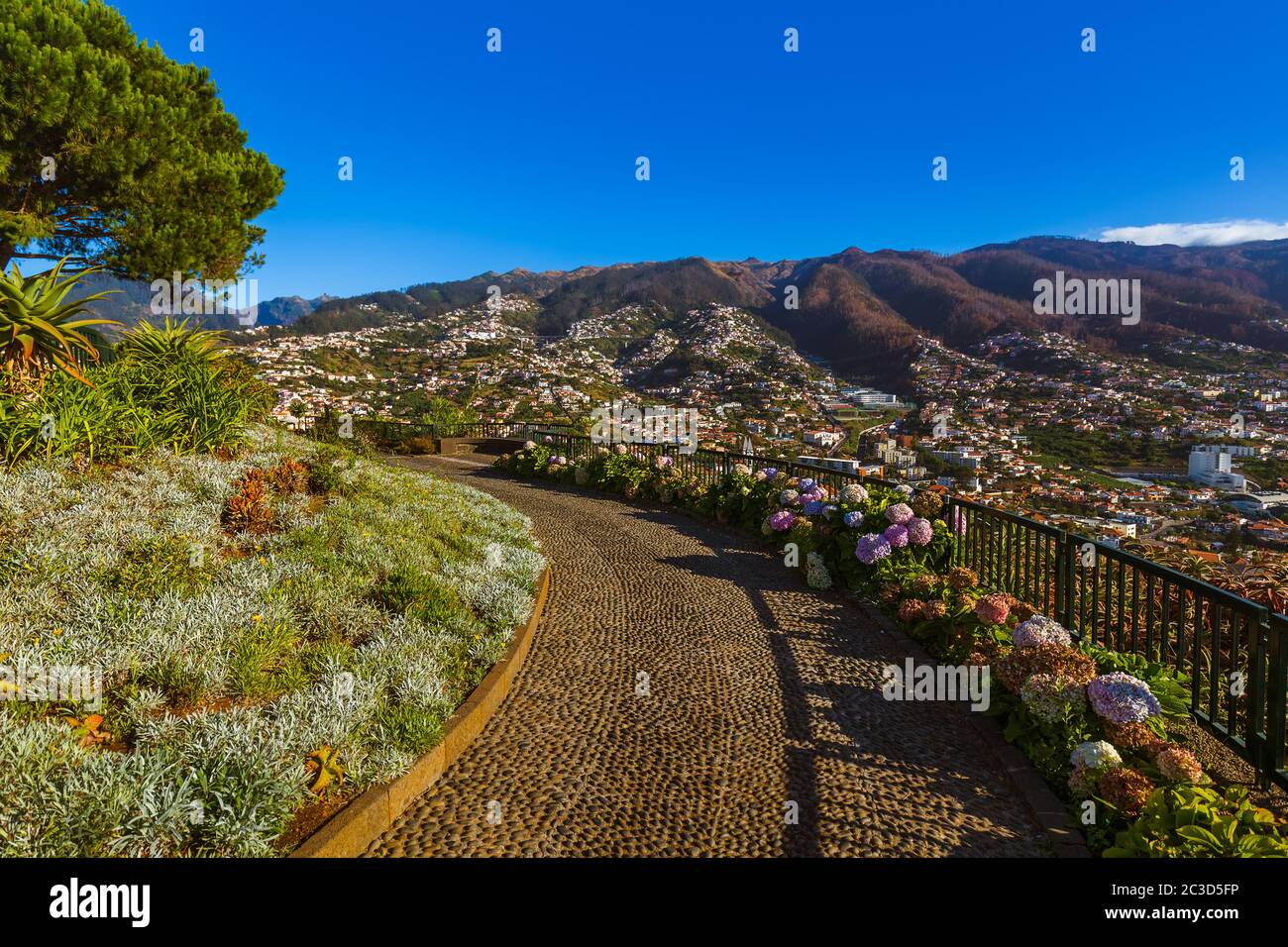 Funchal bay hi-res stock photography and images - Alamy