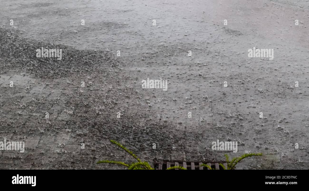Heavy rain drops falling on city street during downpour. Wet ashpalt ...