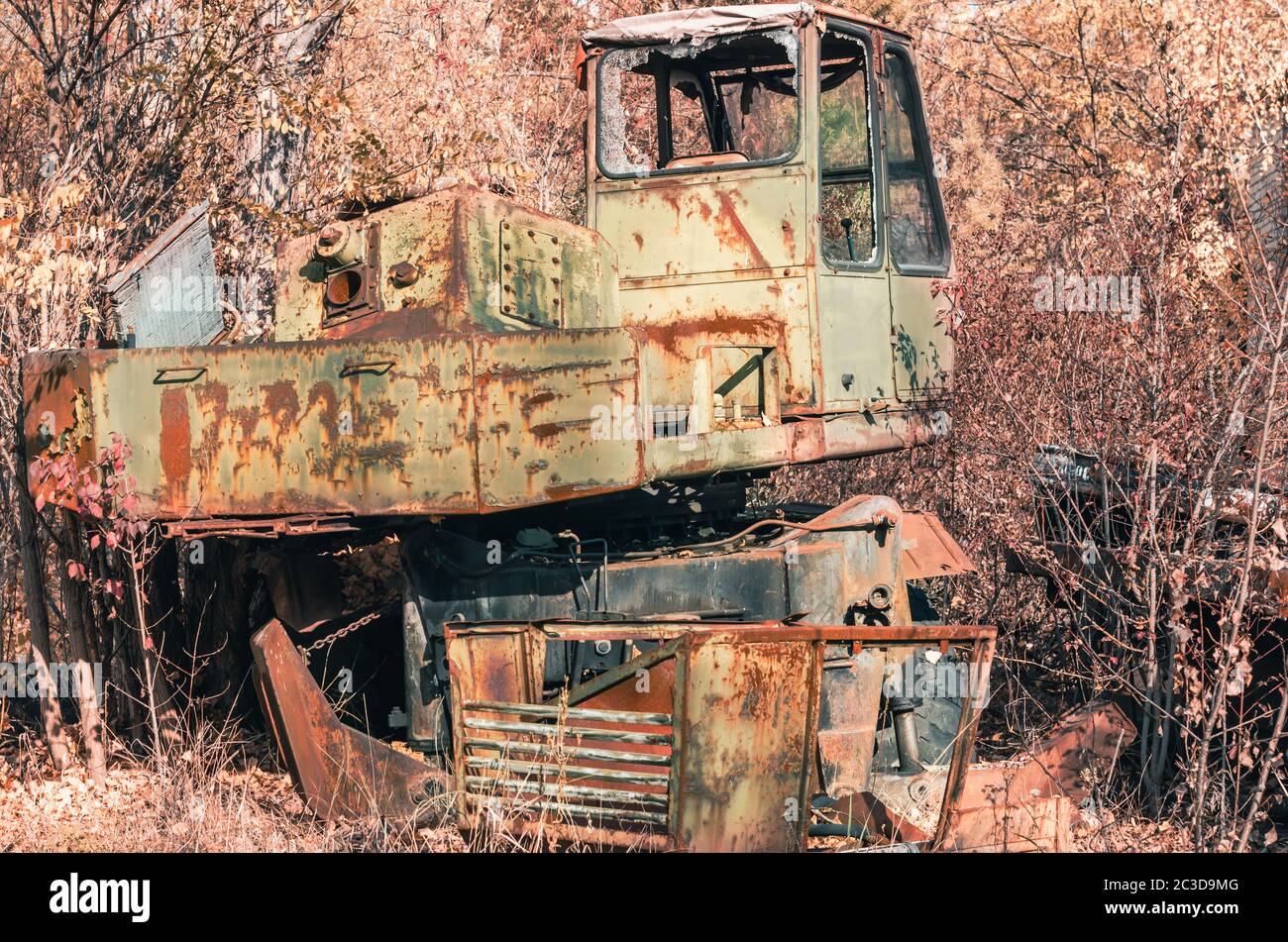 Chernobyl forest hi-res stock photography and images - Alamy