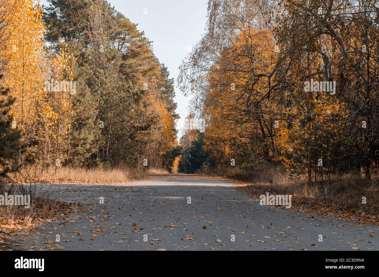 street in the abandoned city of Chernobyl Stock Photo - Alamy
