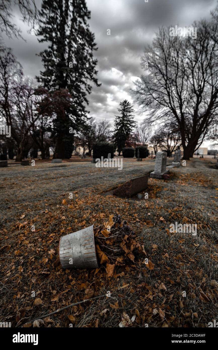 Lonely tree in cemetery hi-res stock photography and images - Alamy