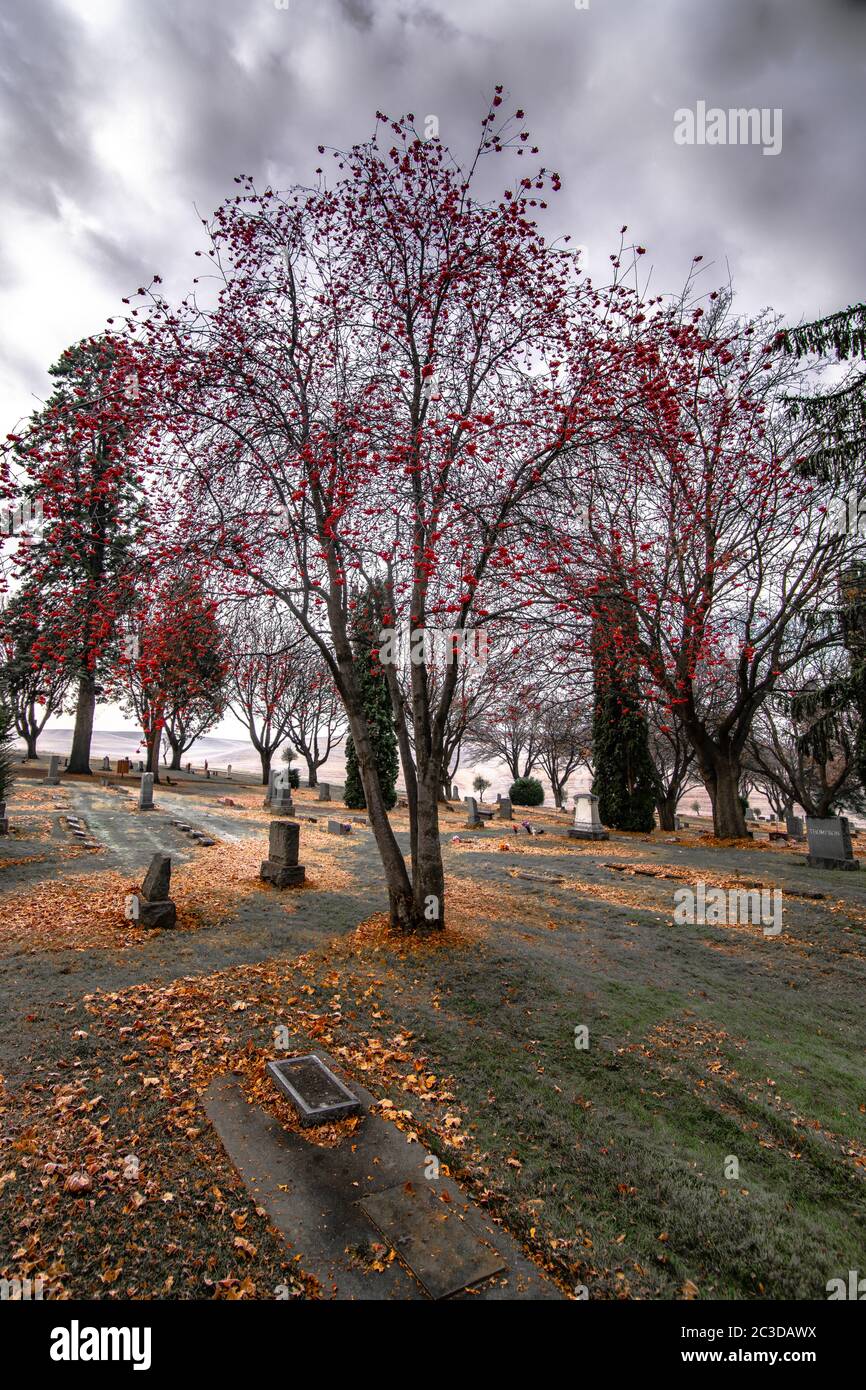 Cemetery in fall hi-res stock photography and images - Alamy