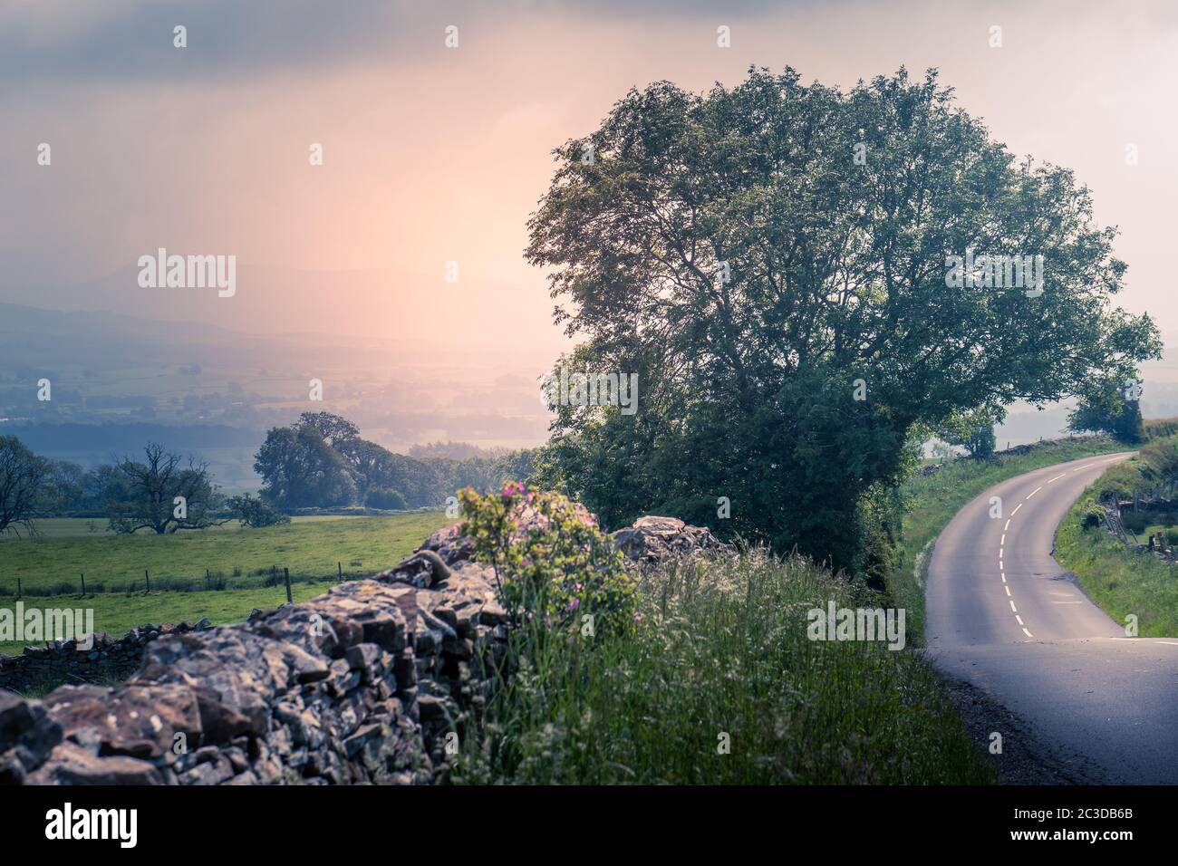 curved road in middle of rural Engalnd with dry stone walls Stock Photo ...
