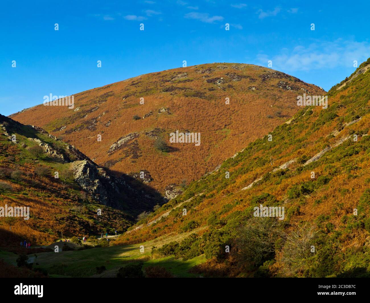 Carding Mill Valley a popular walking destination in the Shropshire ...