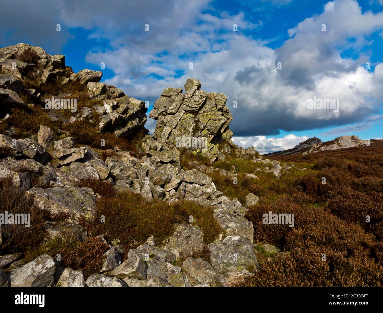 Cranberry Rock part of the Stiperstones a quartzite ridge in the ...