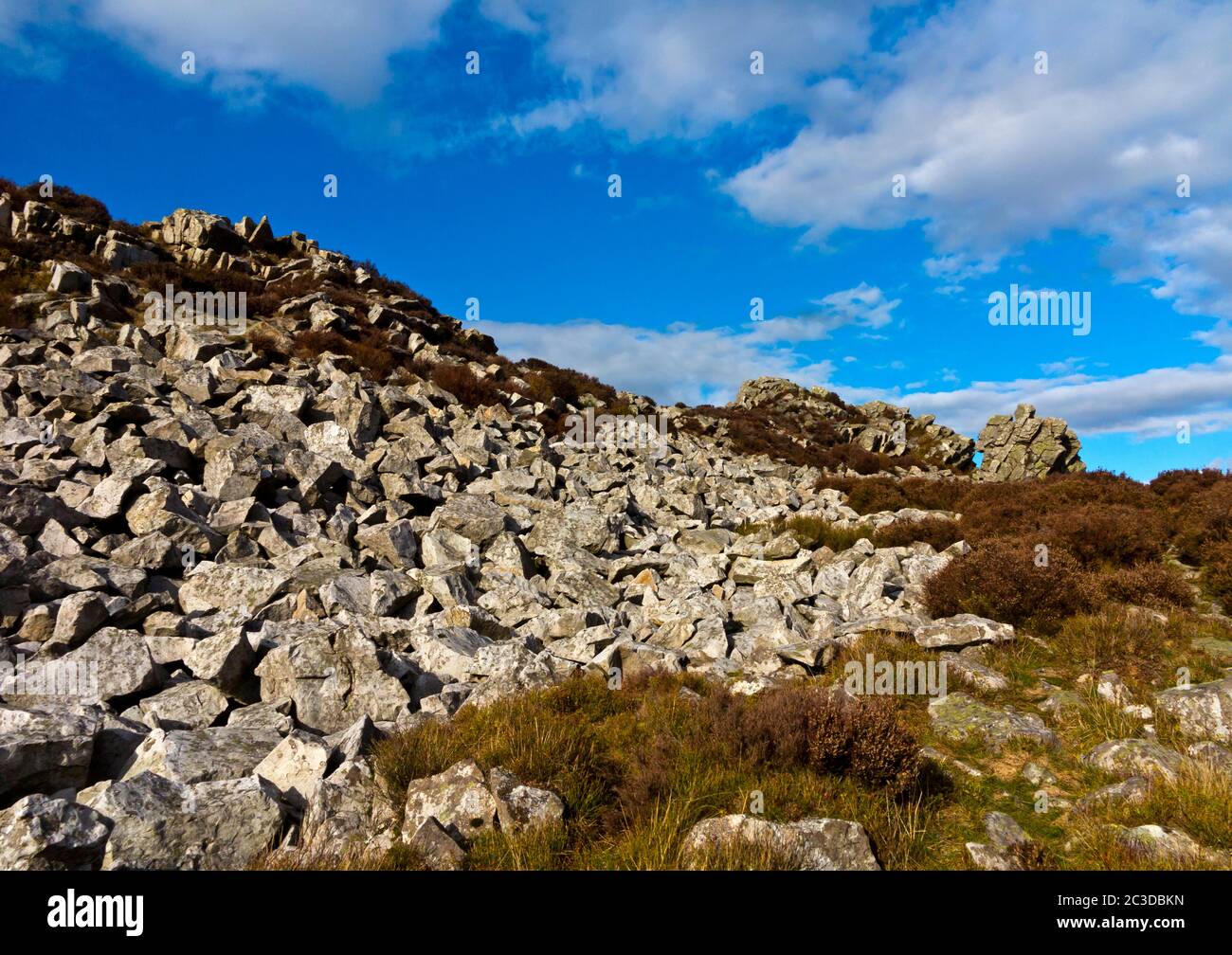 Cranberry Rock part of the Stiperstones a quartzite ridge in the ...